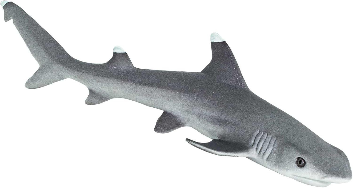 Amazon.com: Safari Ltd. Whitetip Reef Shark Figurine - Lifelike 4.75 ...