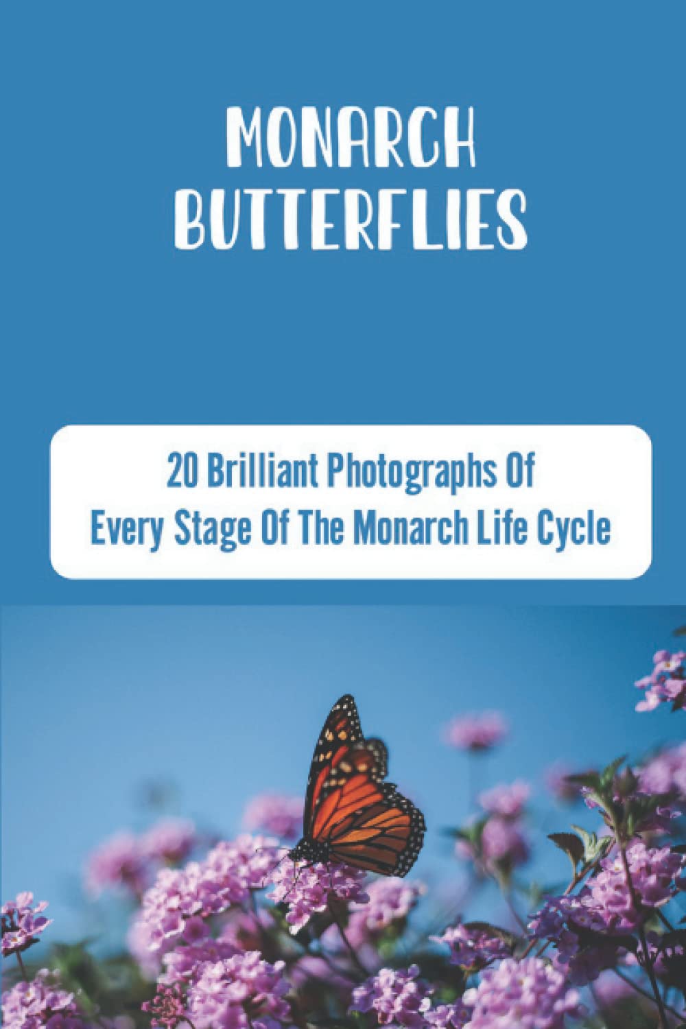 Buy Monarch Butterflies: 20 Brilliant Photographs Of Every Stage Of The ...