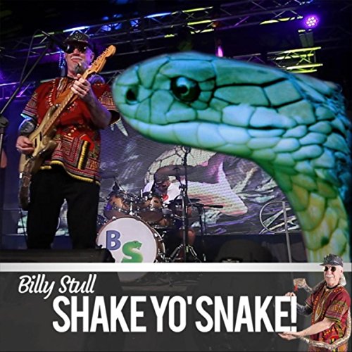 Shake Yo' Snake by Billy Stull on Amazon Music - Amazon.com