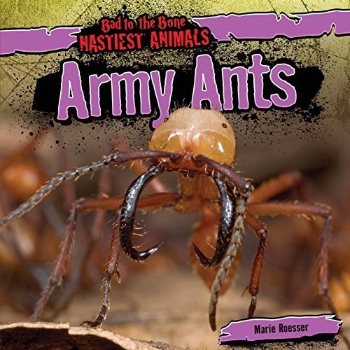 Amazon | Army Ants (Bad to the Bone: Nastiest Animals) | Roesser, Marie ...