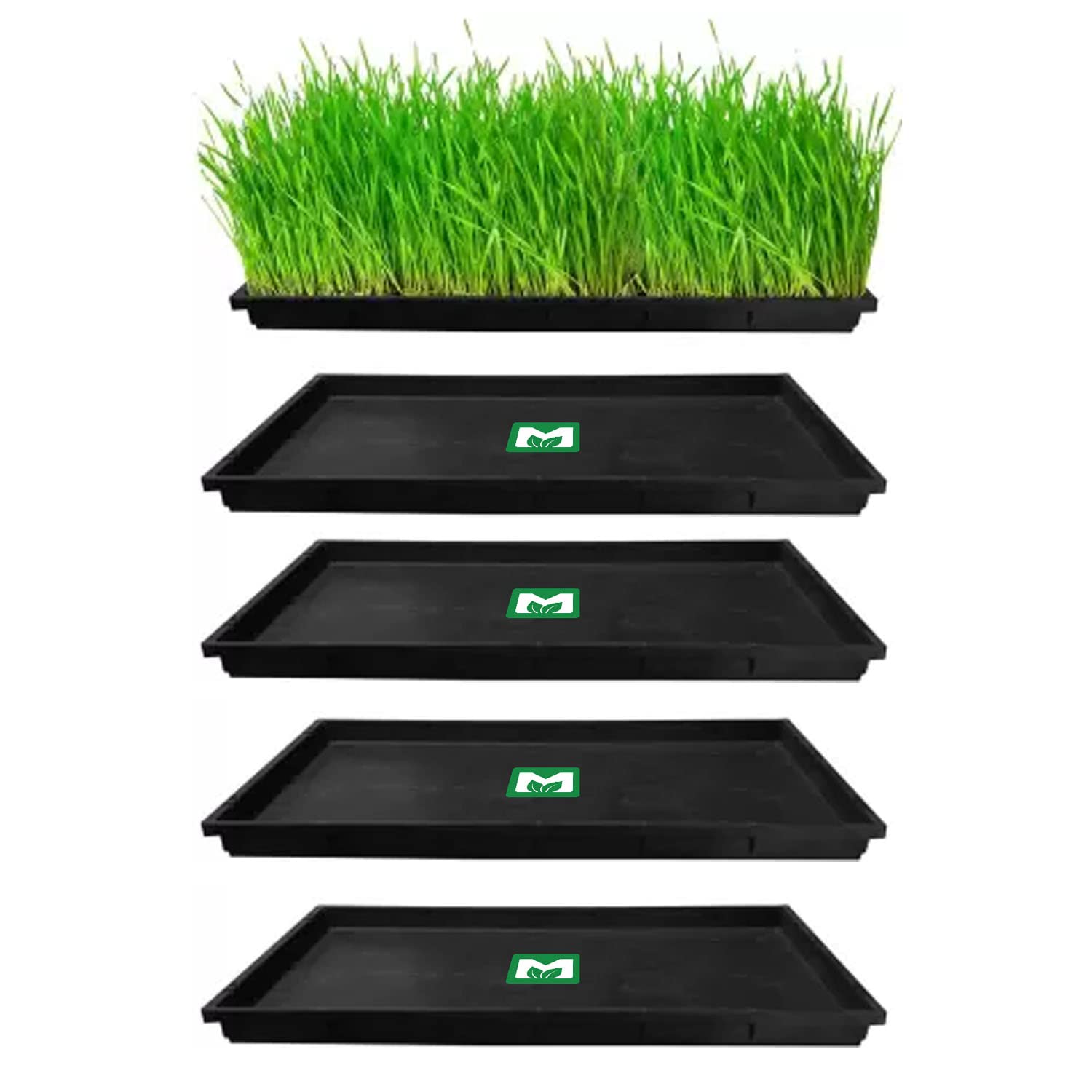 MyOwnGarden Wheat Grass Trays - Growing Microgreen Tray, Hydroponics ...