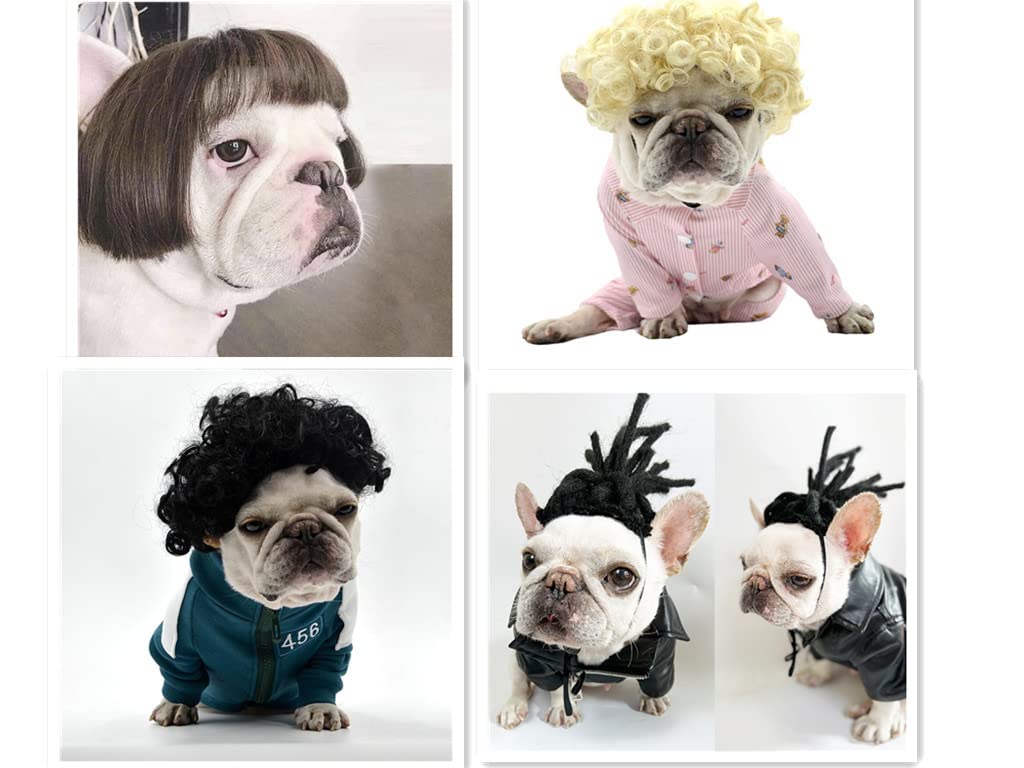 Animales Con Pelucas
