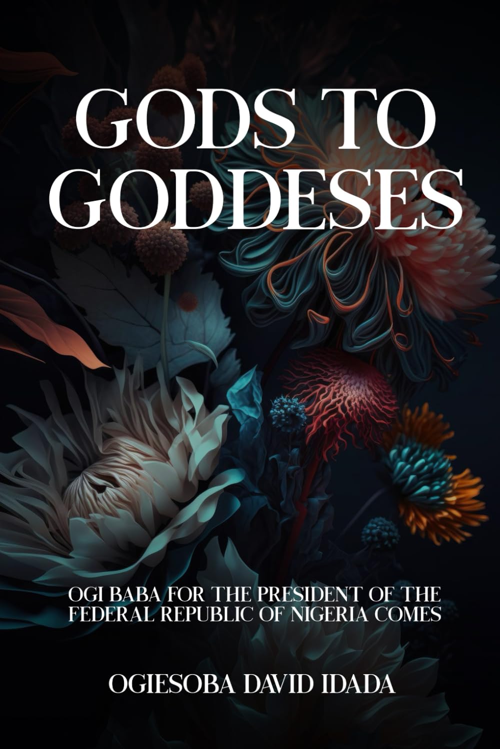 GODS TO GODDESSES: Idada, Ogiesoba: 9781963913248: Amazon.com: Books