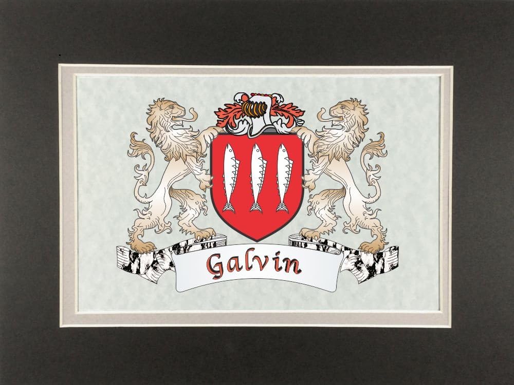 Amazon.com : Galvin Irish Coat of Arms Print - Frameable 9" x 12 ...