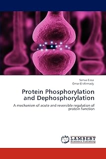 Phosphorylation's Impact On Protein Function And Activity | MedShun