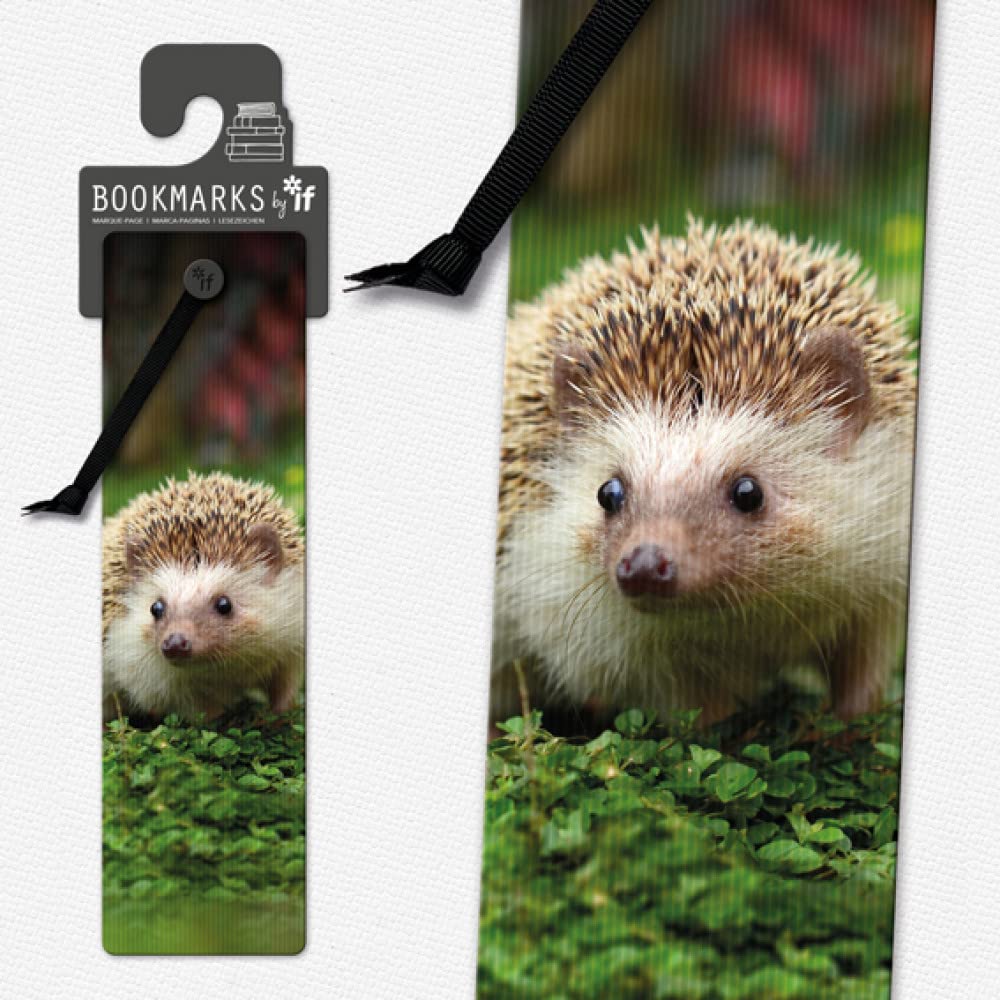 Amazon.com: 3D Bookmarks - Hedgehog : Office Products