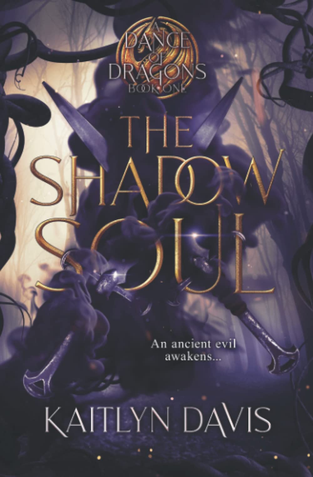The Shadow Soul (A Dance of Dragons): Davis, Kaitlyn: 9781494900090 ...
