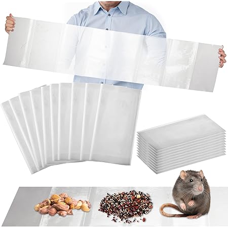 Amazon.com : Sticky Mouse Trap Mouse Glue Traps Sticky Rat Trap That ...