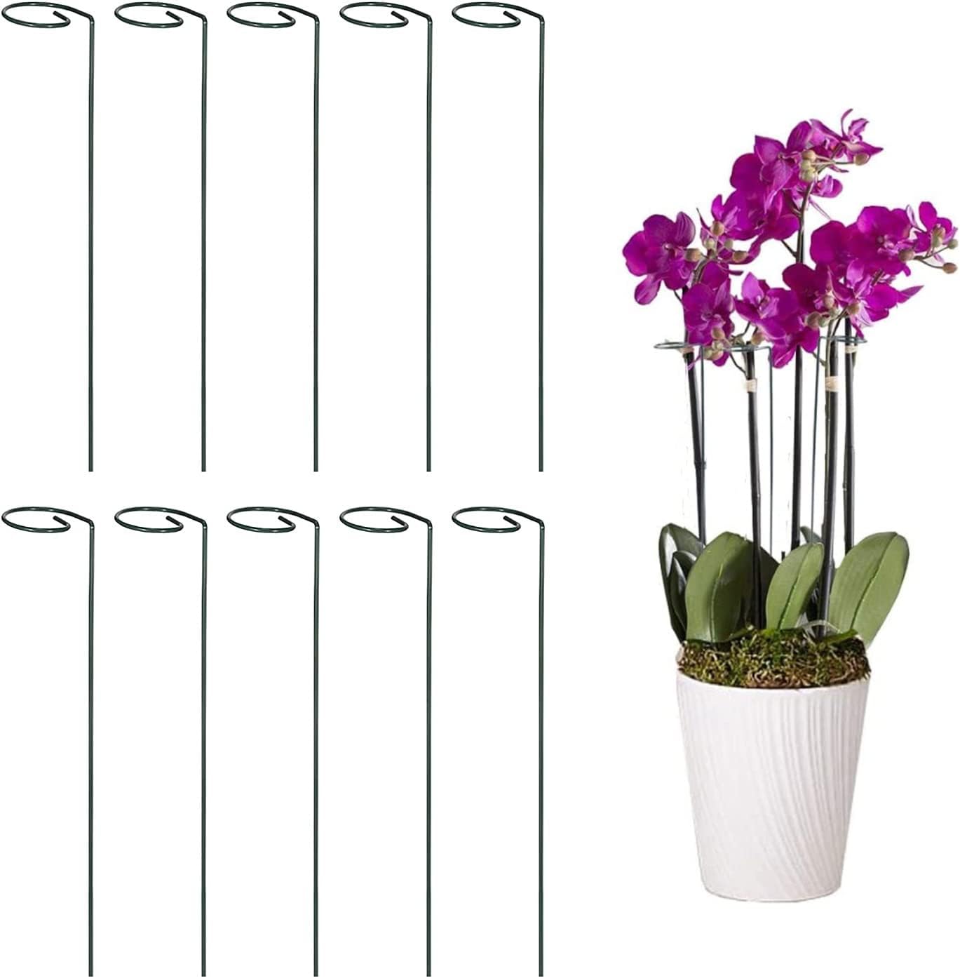 Amazon.com : HYYZ Plant Stakes-6 pcs 21 inch Adjustable Plant Support ...