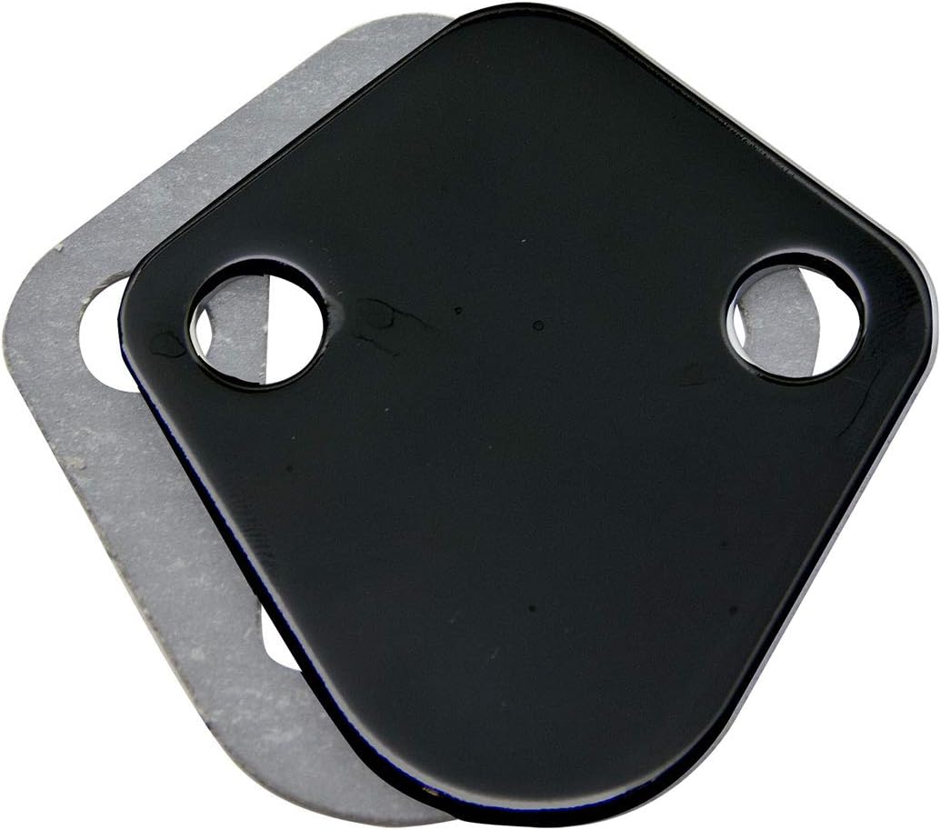 Amazon.com: Black Steel Fuel Pump Block Off Plate Compatible With Chevy ...