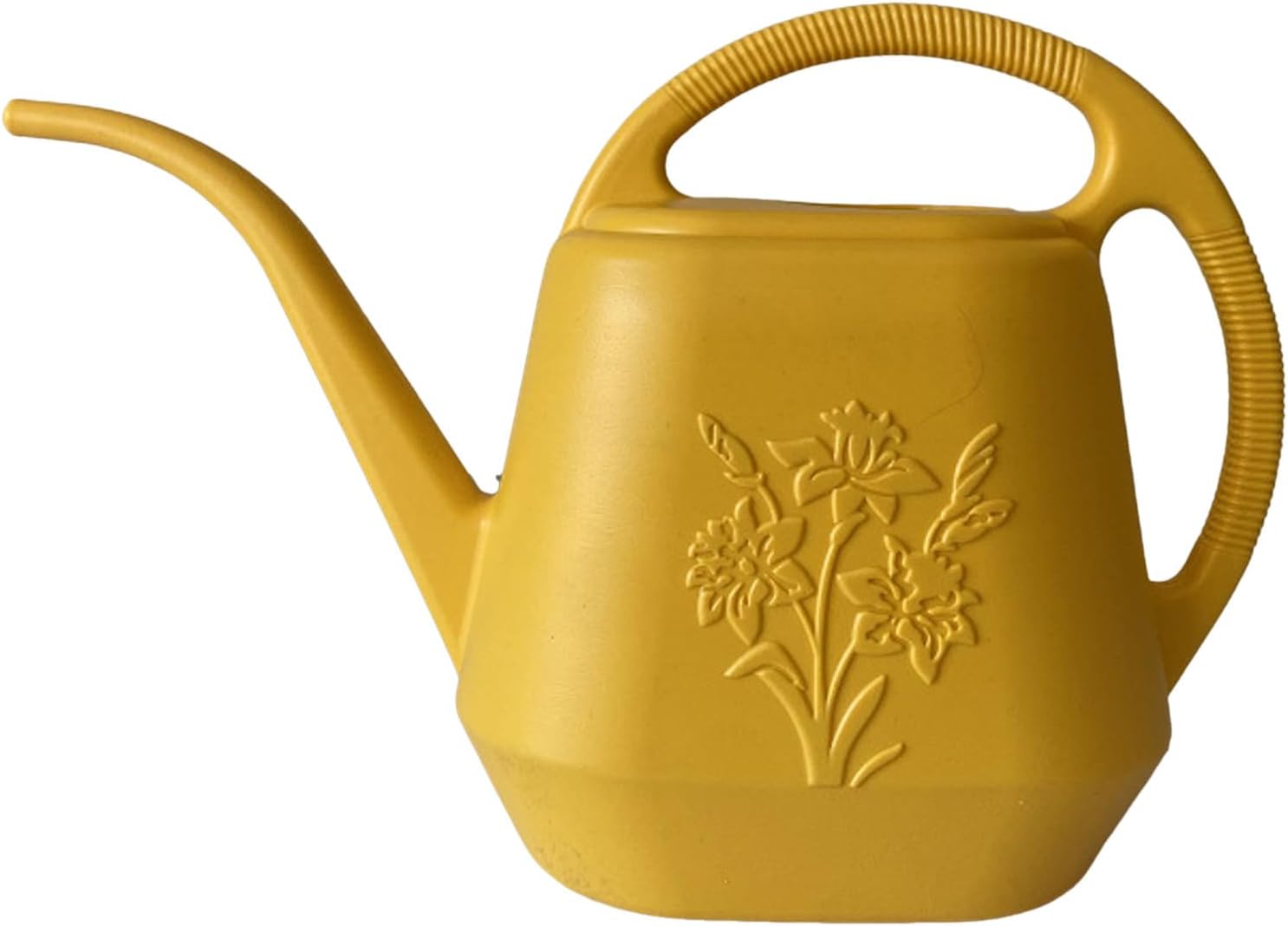 Amazon.com : Watering Can Indoor Plants 1 Gallon Plastic Watering ...