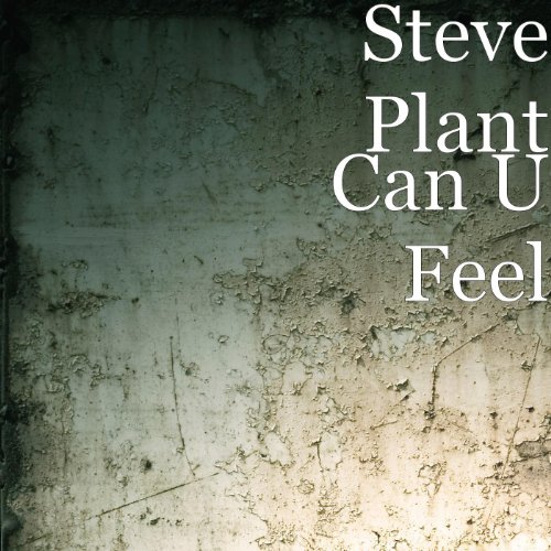 Amazon.co.jp: Can U Feel : Steve Plant: Digital Music