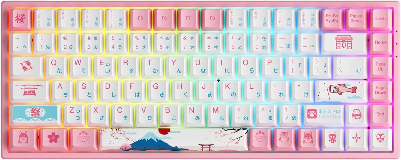 Buy Akko 3084B RGB Mechanical Gaming Keyboard, Multi Modes (BT5.0/2 ...