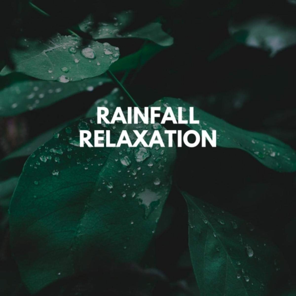 Calm Storm song by Rain on Tin Roof from Rainfall Relaxation on Amazon ...