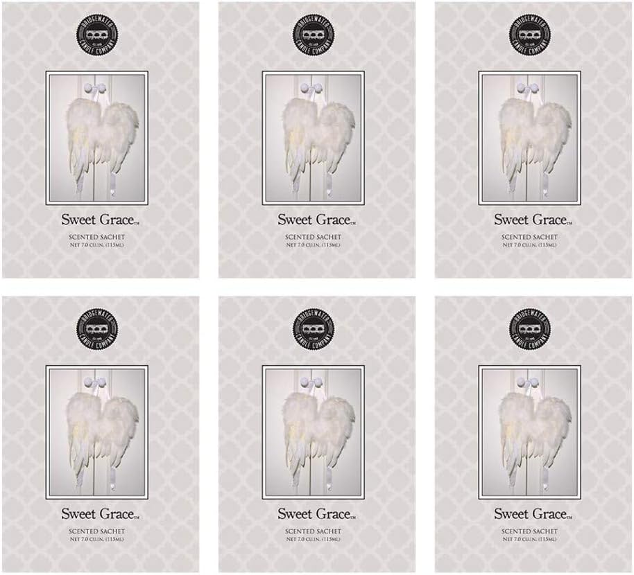 Amazon.com: Tyler Autoglam Ambientador – Fragancia Diva, juego de 6 (6 ...