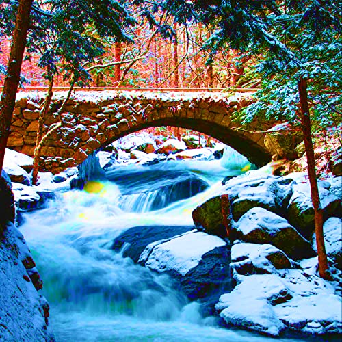 Amazon.co.jp: December Rejoice : Maya Christian: Digital Music