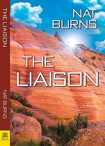 The Liaison: Book One in the Desert Willow Series - Kindle edition by ...