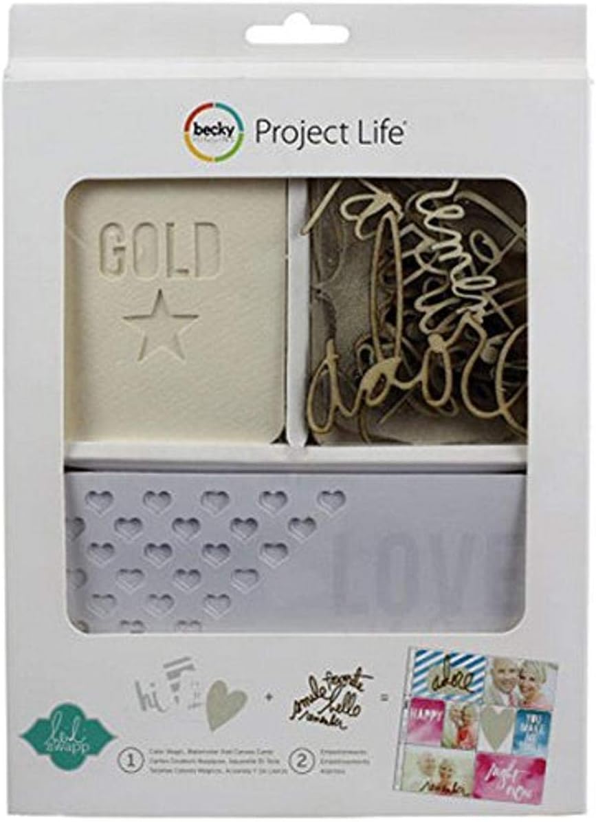 Amazon.com: American Crafts Project Life Core Kit, Heidi Swapp