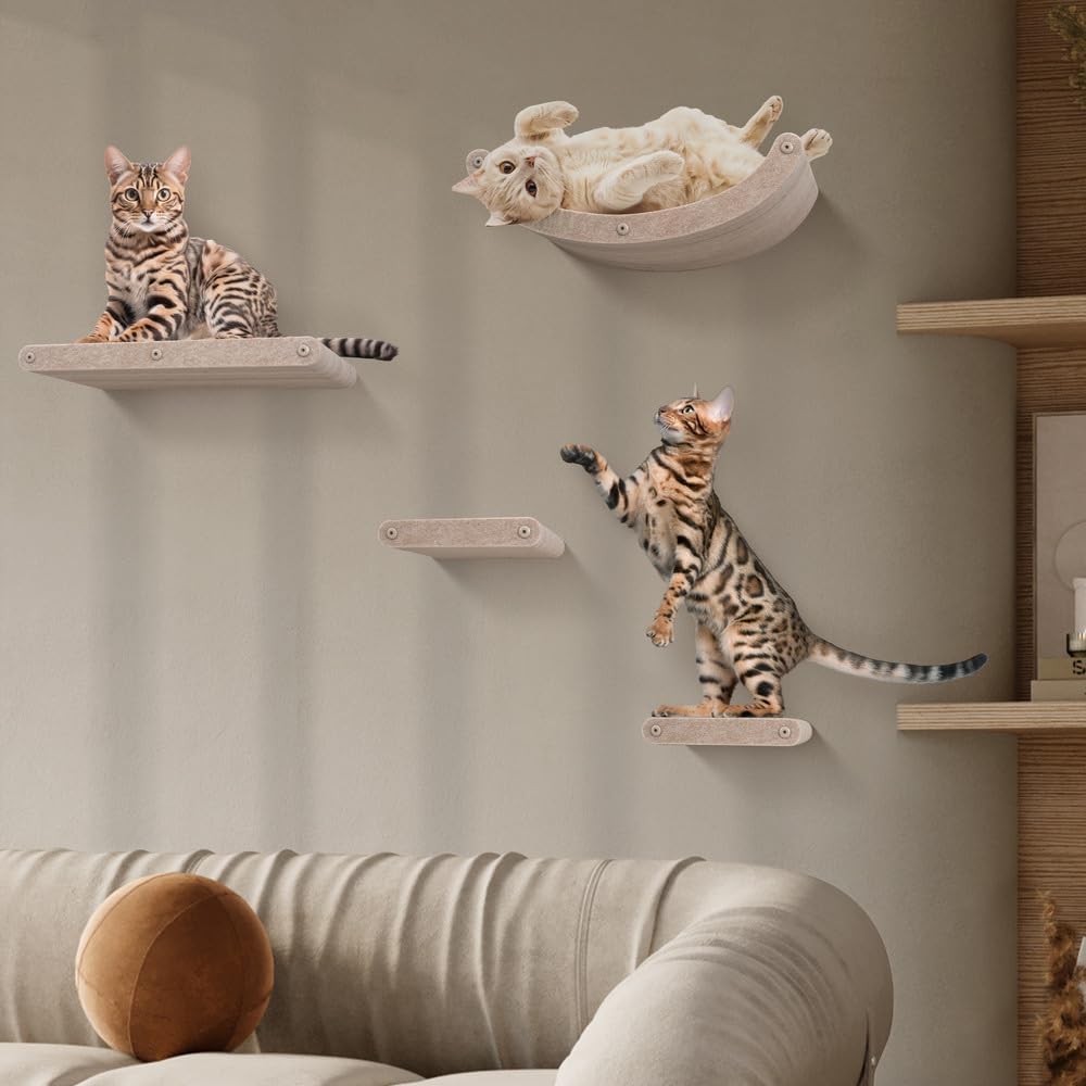 Amazon.com : Pryde Pets Wall Mounted Cat Shelves - Set of 4 - Cat Wall ...
