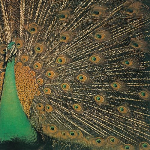 Amazon MusicでAliceのALICE III (+2 / Remastered 2024)を再生する