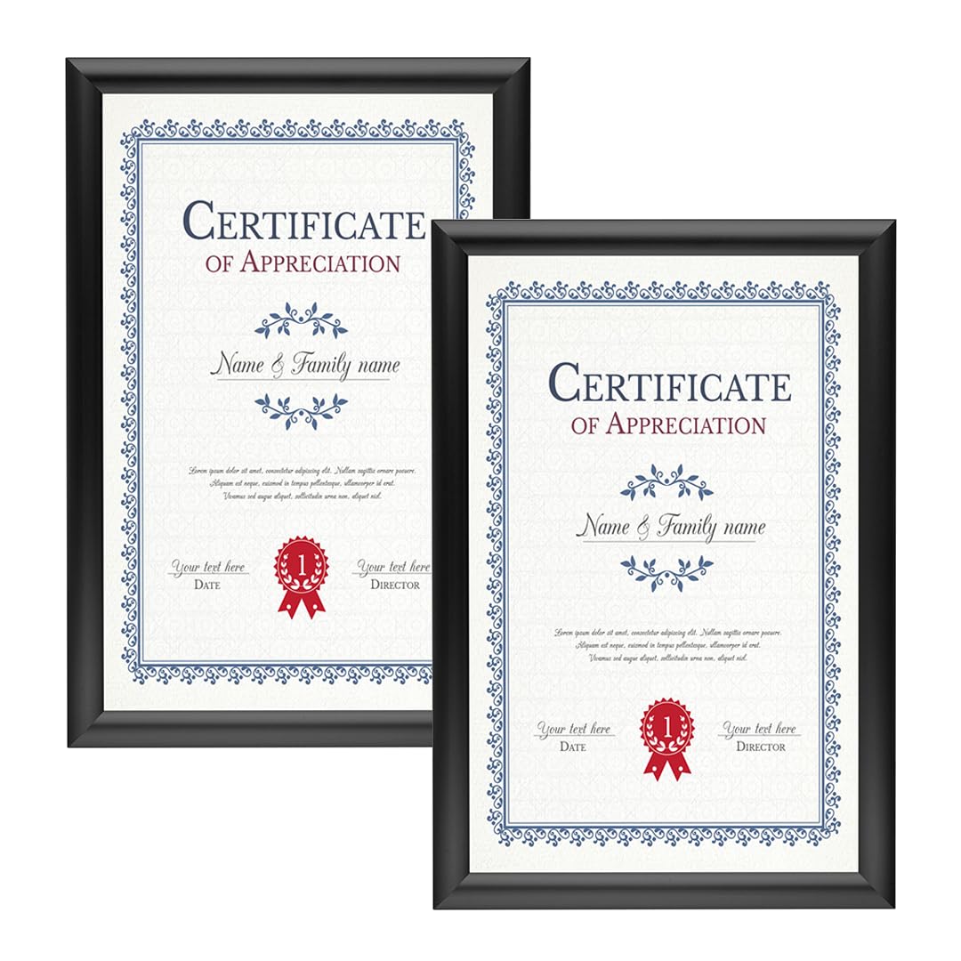Amazon.com - SnapeZo 2-Pack 11x17 Inches Black Document Notice Frames ...