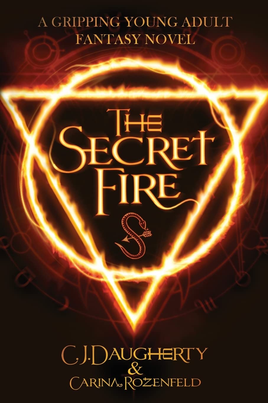 The Secret Fire (The Alchemist Chronicles): Daugherty, CJ, Rozenfeld ...