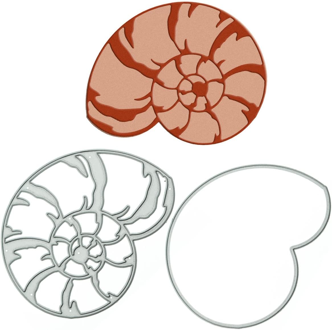 Amazon.com: Layered Nautilus Sea Shell Striped Metal Paper Cutting Dies ...