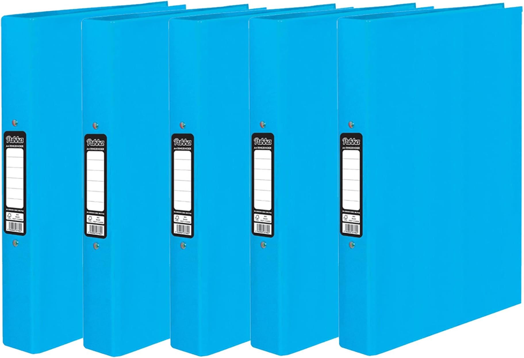 ED Pukka A4 Glossy 2-Ring Binder Files School Work Office 40mm Spine ...