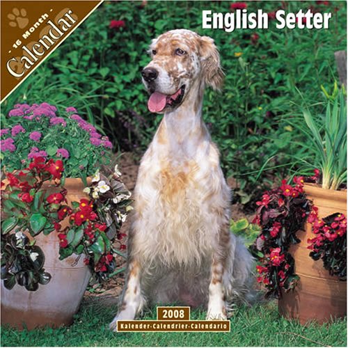 English Setter 2008 Wall Calendar: Pet Prints: 9781846622786: Amazon ...