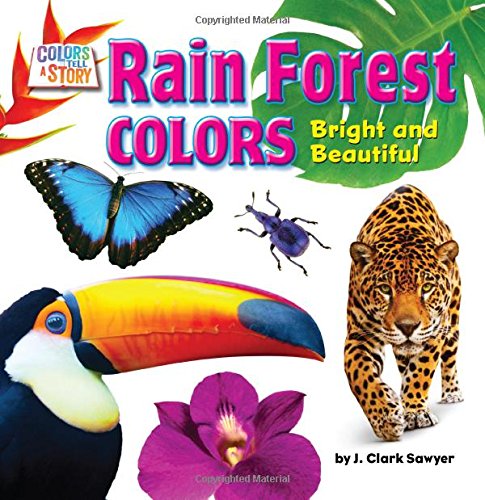 Amazon | Rain Forest Colors: Bright and Beautiful (Little Bits: Colors ...
