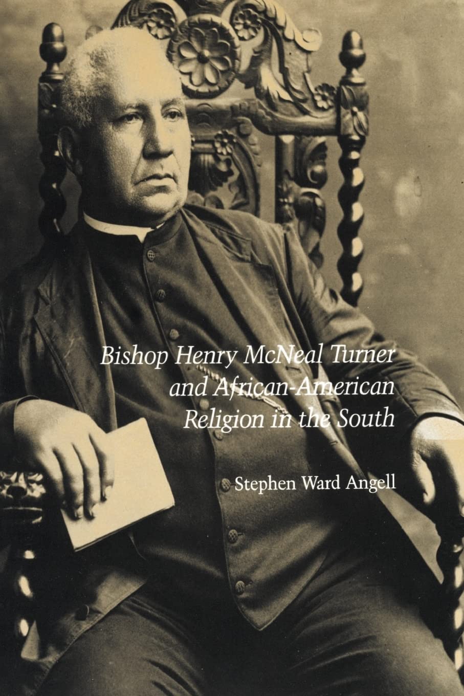 Bishop Henry Mcneal Turner And African-: Angell, Stephen W ...