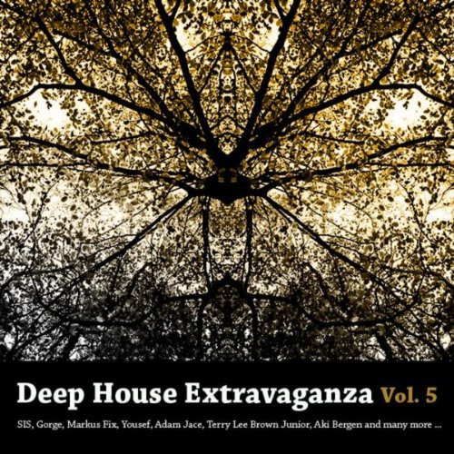 Play Deep House Extravaganza Vol. 5 by VARIOUS ARTISTS on Amazon Music