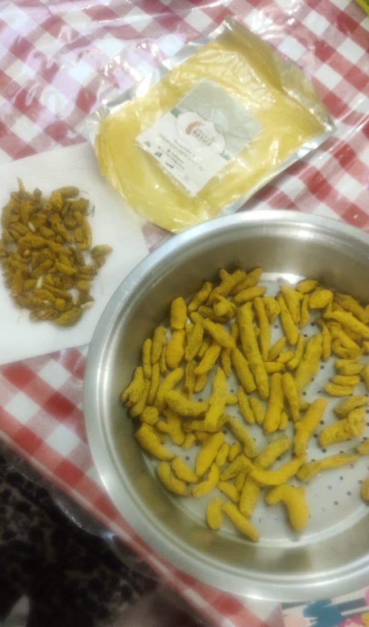 ORGANIC NATURE Haldi Gatiya Turmeric Sticks sabut Haldi PACK OF 400 ...