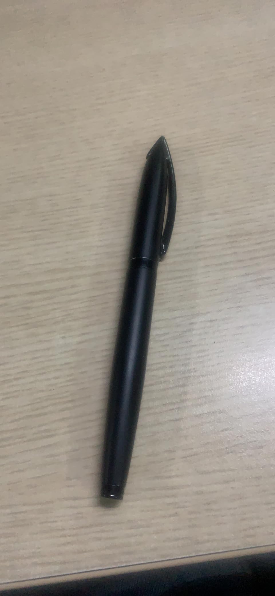 amazon basics Elegant Ballpoint Pen with Classy Stainless Steel Body ...