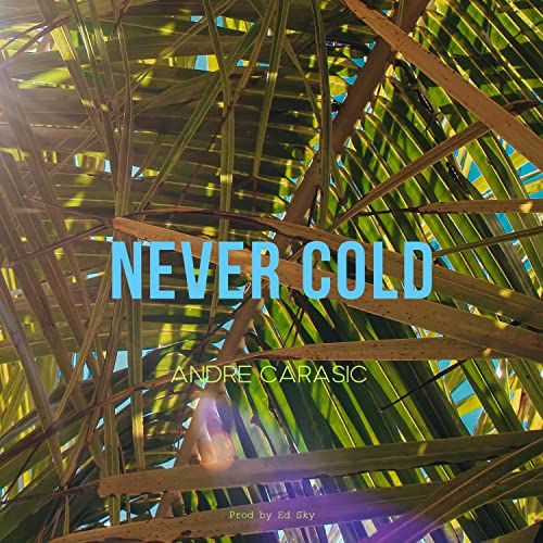 Never Cold de Andre Carasic no Amazon Music Unlimited