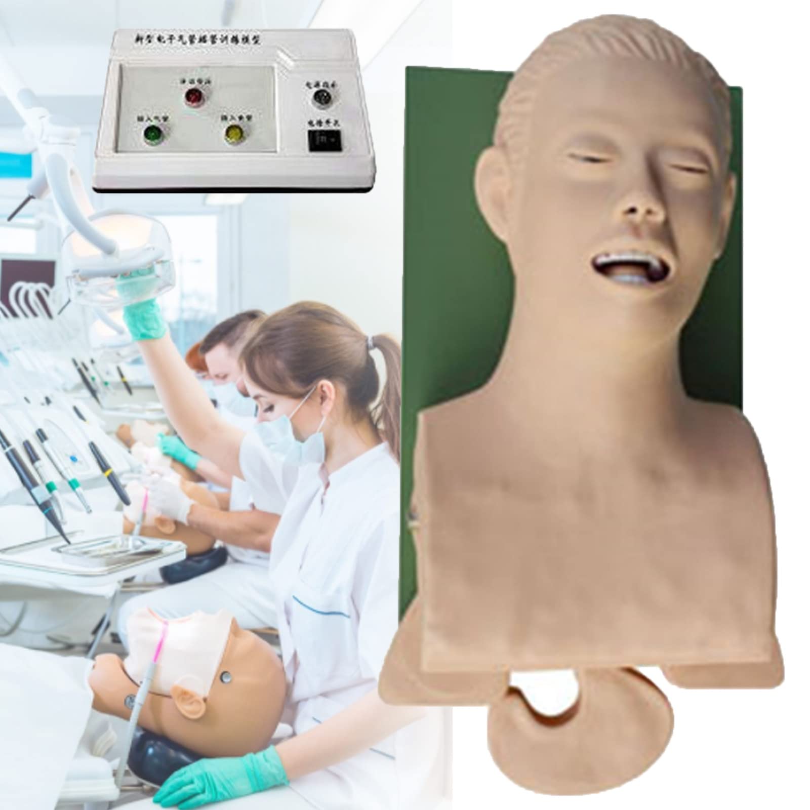 Jintaoma Intubation Manikin Teaching Model Oral Nasal Tracheal ...