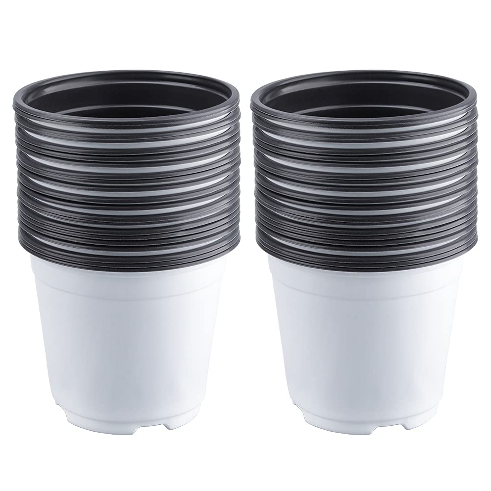 Snapklik.com : 50 Pcs 6 Plastic Plants Nursery Seedlings Pot/Pots ...