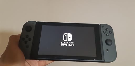 Nintendo Switch Hw (Grey) Switch) : Amazon.co.uk: PC & Video Games