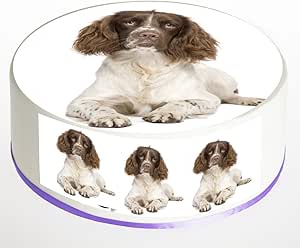 Spaniel Cake Topper. Round Cake Topper. Edible Icing Sheet 7.5 inch ...