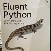 Fluent Python: Clear, Concise, and Effective Programming: Ramalho ...