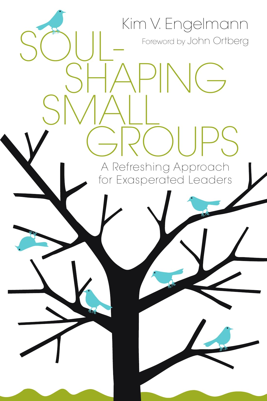 Soul-Shaping Small Groups: A Refreshing Approach for Exasperated ...