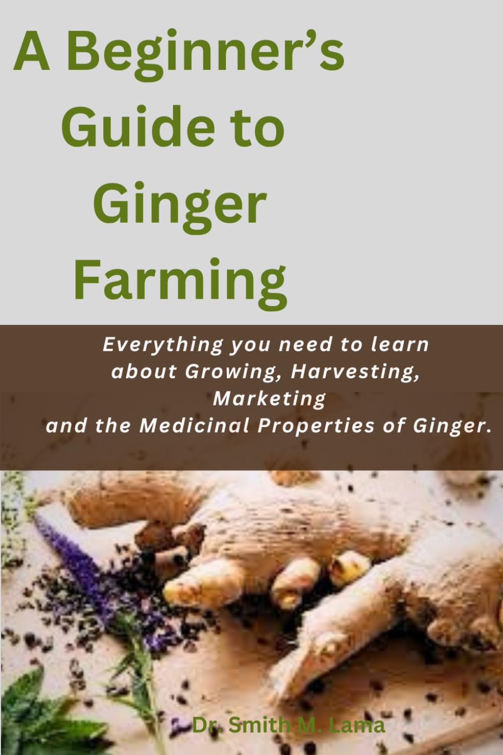 A Beginner’s Guide to Ginger Farming: Everything you need to learn ...