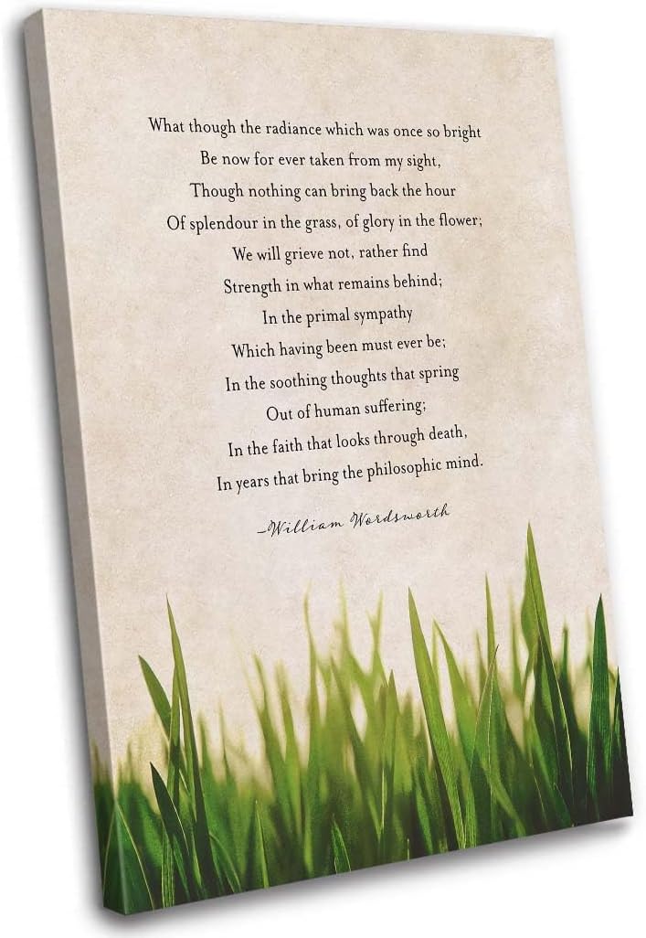 Amazon.com: Shesinee Splendor In The Grass Poem Wall Art Poetry Poster ...