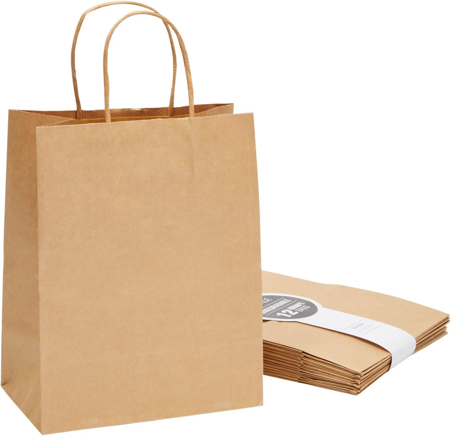 Amazon.com: ABI USA 12 Pack Medium Paper Bags with Handles, Bulk Brown ...