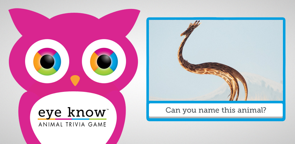 Eye Know: Animals:Amazon.com:Appstore for Android
