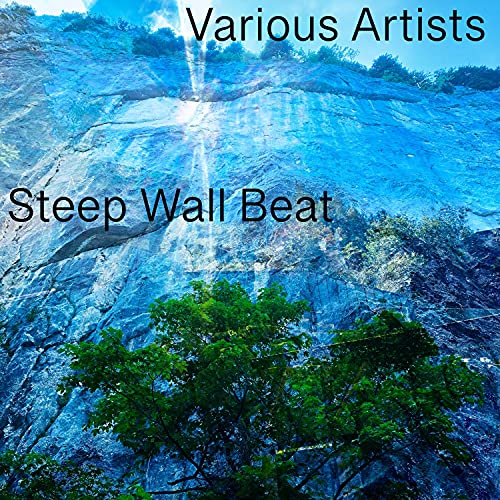 Amazon.co.jp: Steep Wall Beat : ヴァリアス・アーティスト: デジタルミュージック