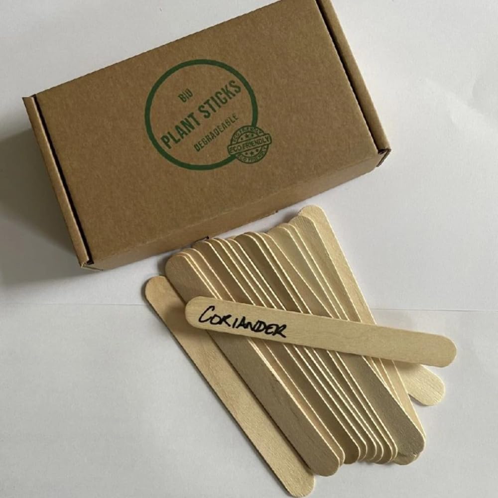100 x Large Biodegradable Blank Wooden Seed, Herb and Plant Labels ...