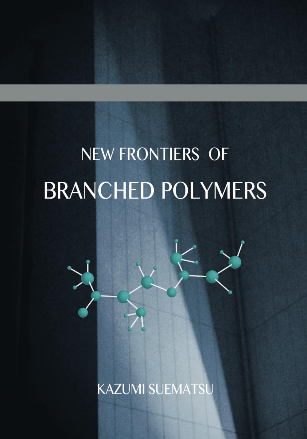 NEW FRONTIERS OF BRANCHED POLYMERS: Physicochemical Aspects ...