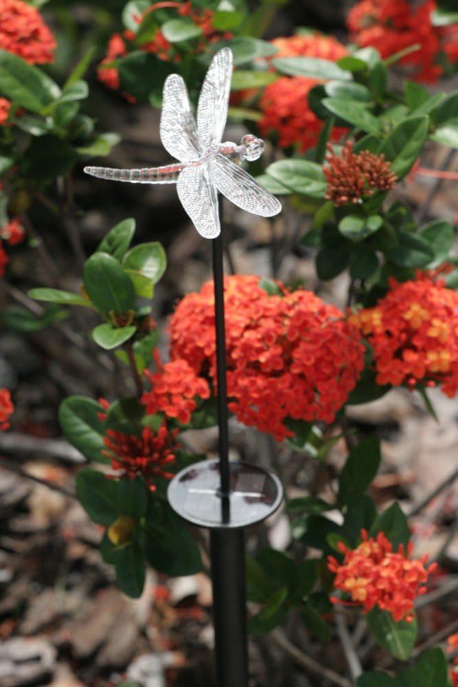 Amazon.com : Smart Solar Chameleon Solar-Powered Light Stake, Dragonfly ...