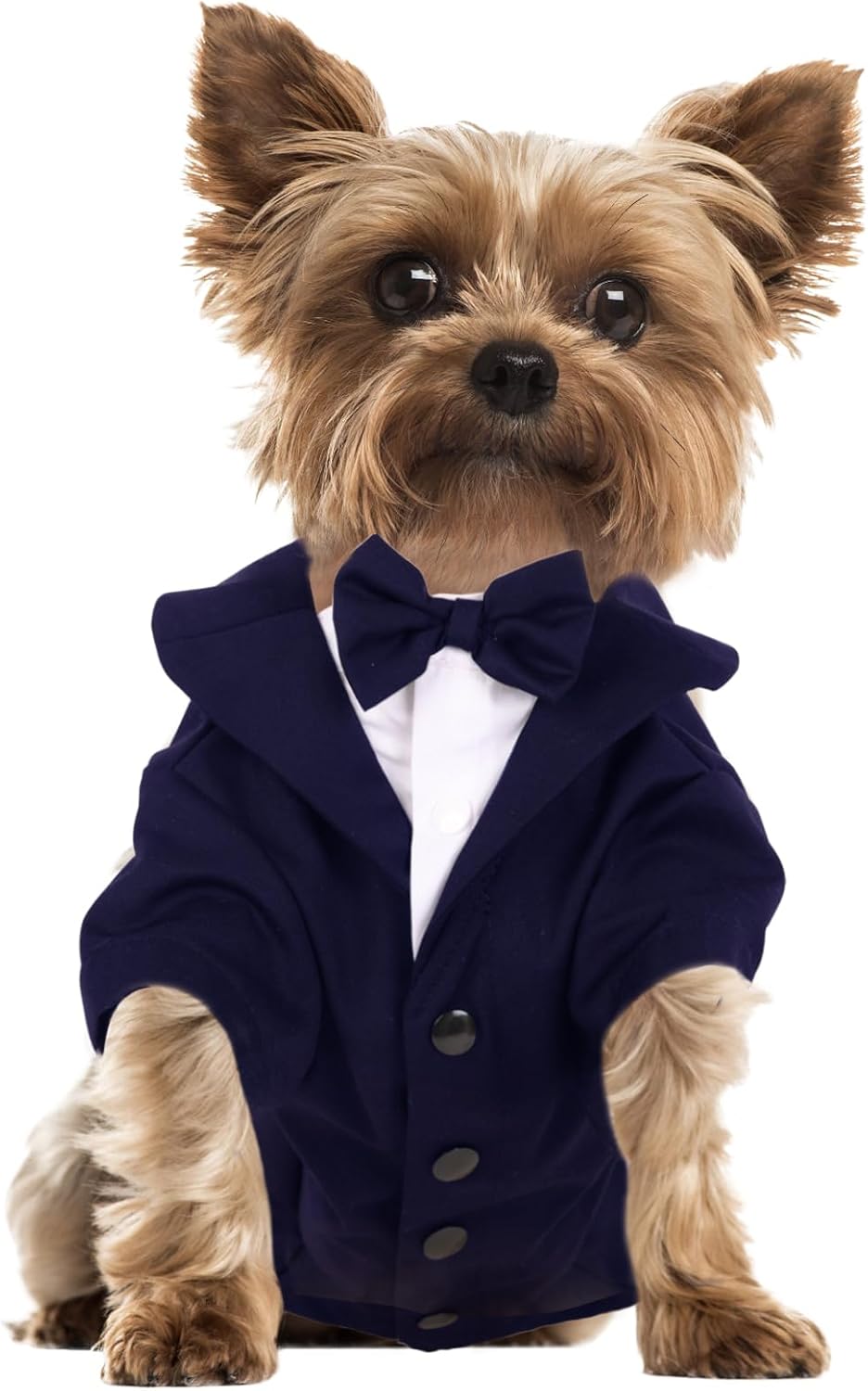 Amazon.com : SAWMONG Dog Tuxedo,Formal PET Wedding Party Suit for Small ...